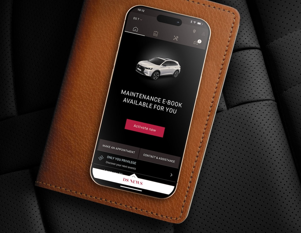 Hybrid, diesel and petrol vehicle maintenance - DS maintenance